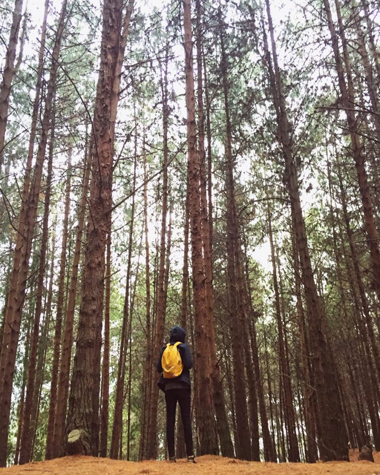 Colombia Travel Guide: Top 5 Things To Do in Bogota - Brooklyn Tropicali