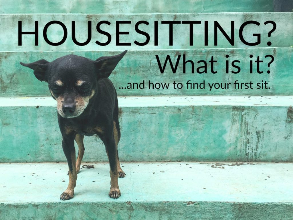 What is Housesitting? And How to Find Your First Housesit… - Brooklyn ...