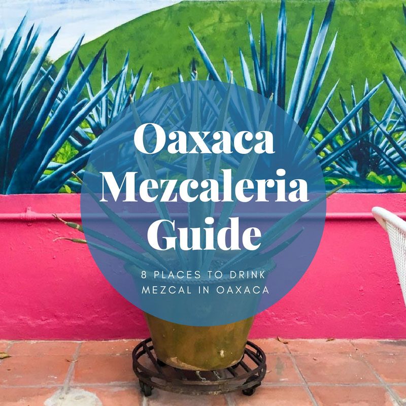 Oaxaca Mezcaleria Guide: 8 Places to Drink Mezcal in Oaxaca