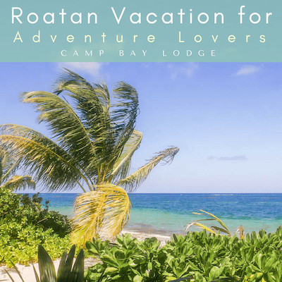 Roatan Vacation for Adventure Lovers: Camp Bay Lodge in the Off-the ...