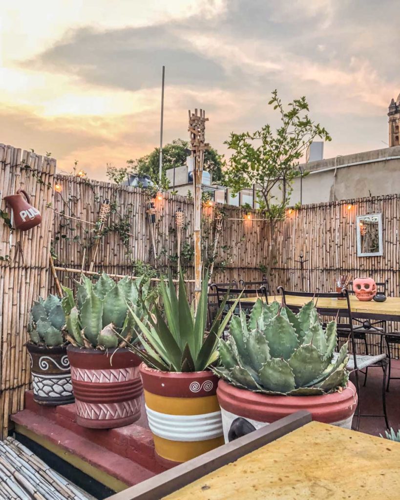 oaxaca cocktail bar and rooftop el techo - Brooklyn Tropicali