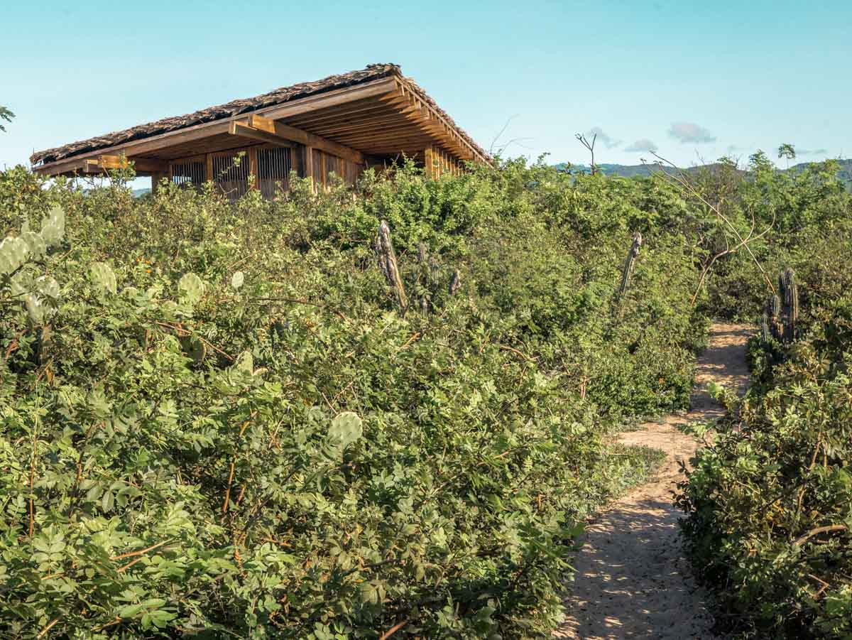 A Design Lover’s Beach Getaway in Punta Pajaros: Casitas by the Sea ...