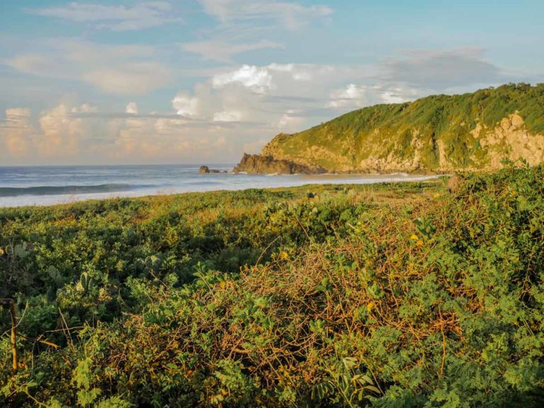 A Design Lover’s Beach Getaway in Punta Pajaros: Casitas by the Sea ...