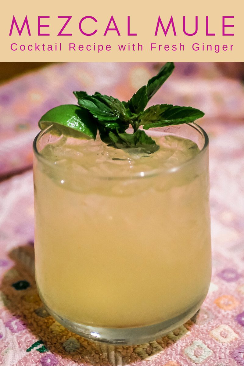 Mezcal Mule Recipe With Fresh Ginger - Brooklyn Tropicali