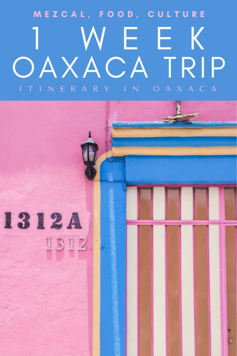 1 Week Oaxaca Trip - Mezcal, Food + Culture Itinerary in Oaxaca: Travel ...