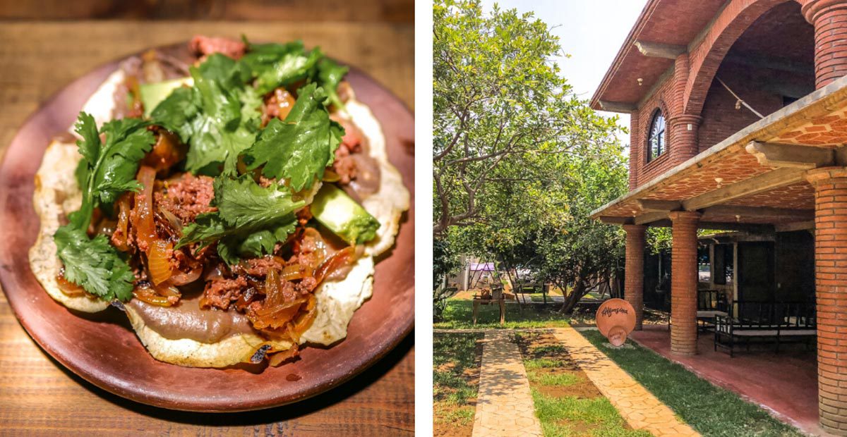 1 Week Oaxaca Trip - Mezcal, Food + Culture Itinerary in Oaxaca: Travel ...