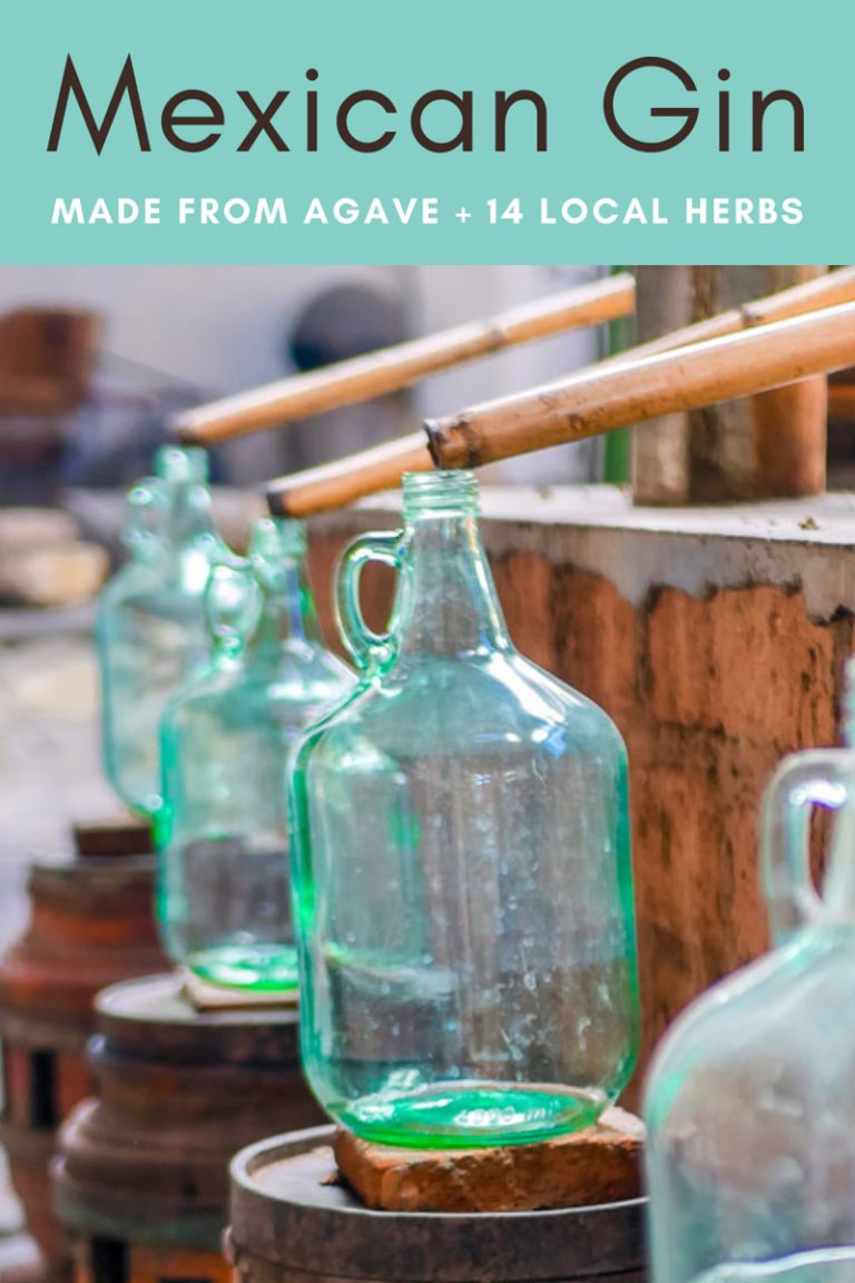 Agave Gin: A Mexican Gin Made From Agave & 14 Local Herbs in Oaxaca ...