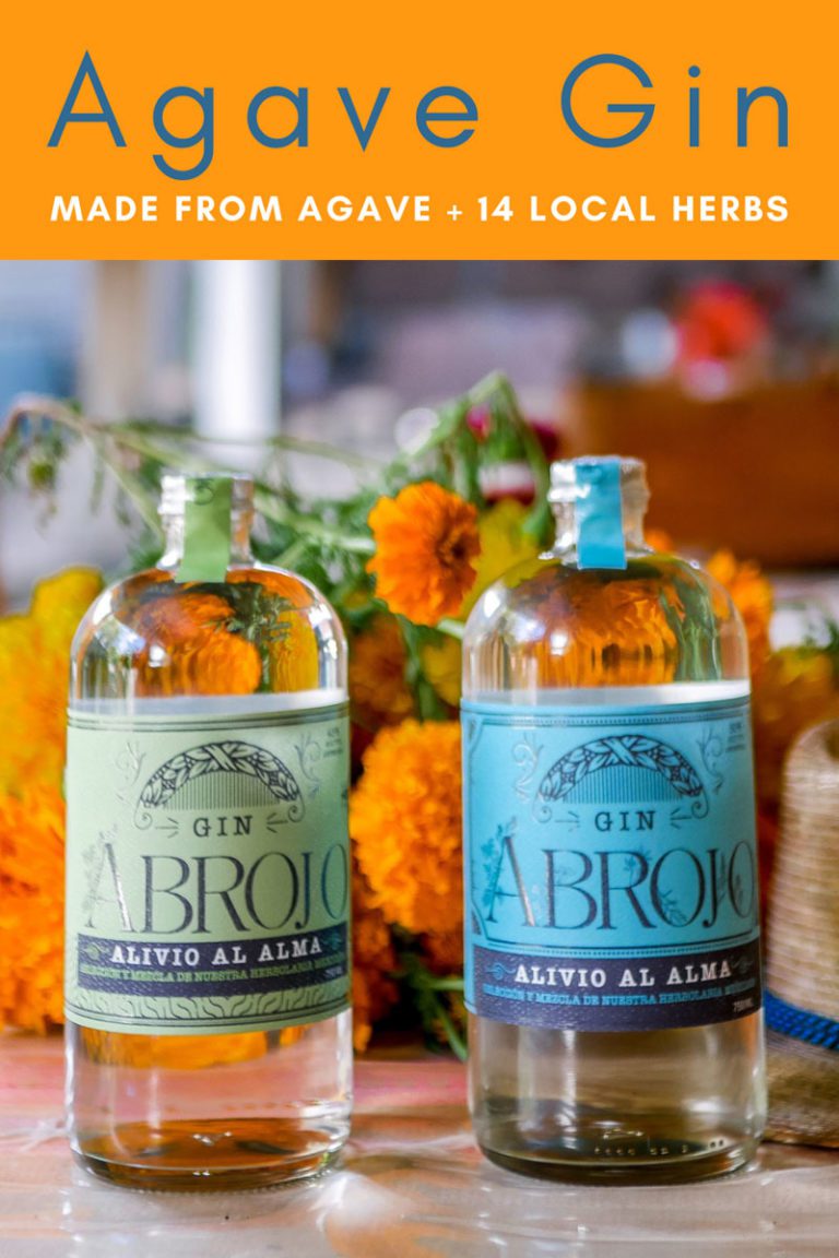 Agave Gin: A Mexican Gin Made From Agave & 14 Local Herbs in Oaxaca ...