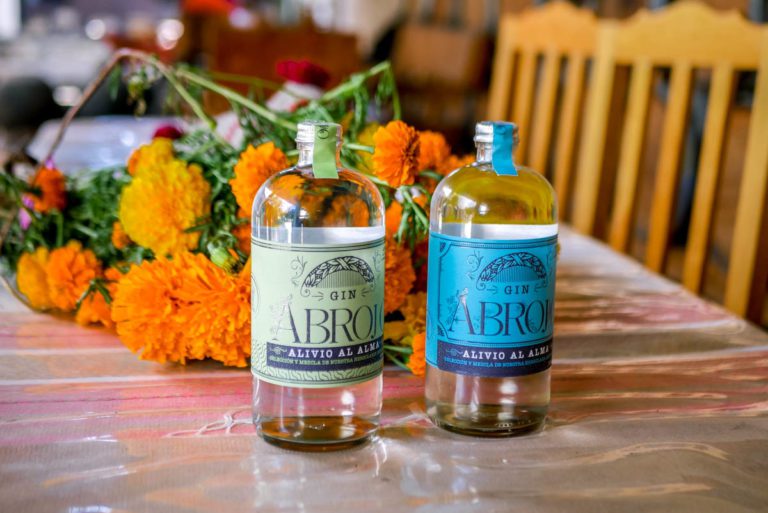 Agave Gin: A Mexican Gin Made From Agave & 14 Local Herbs in Oaxaca ...
