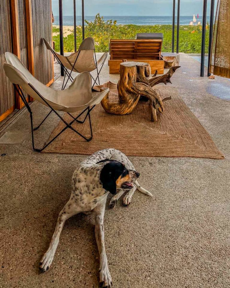 Architect-Designed Punta Pajaros Airbnb: Where to Stay in Puerto ...