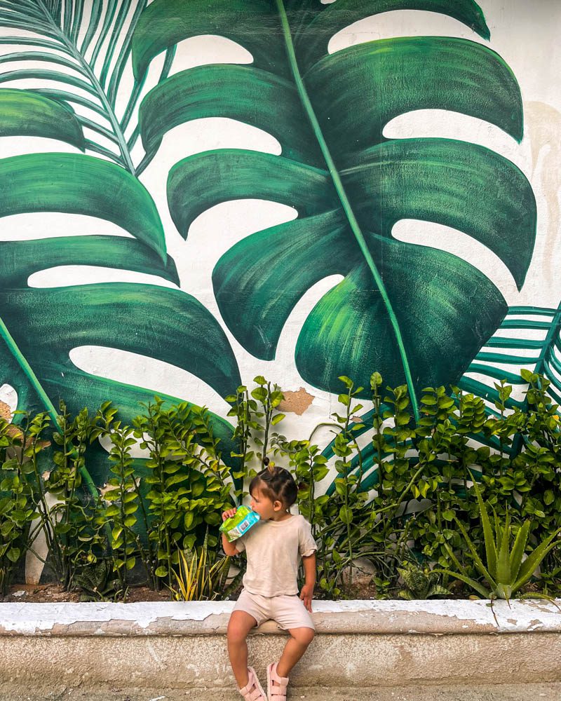 How to Get from Cancun to Holbox & Holbox to Merida